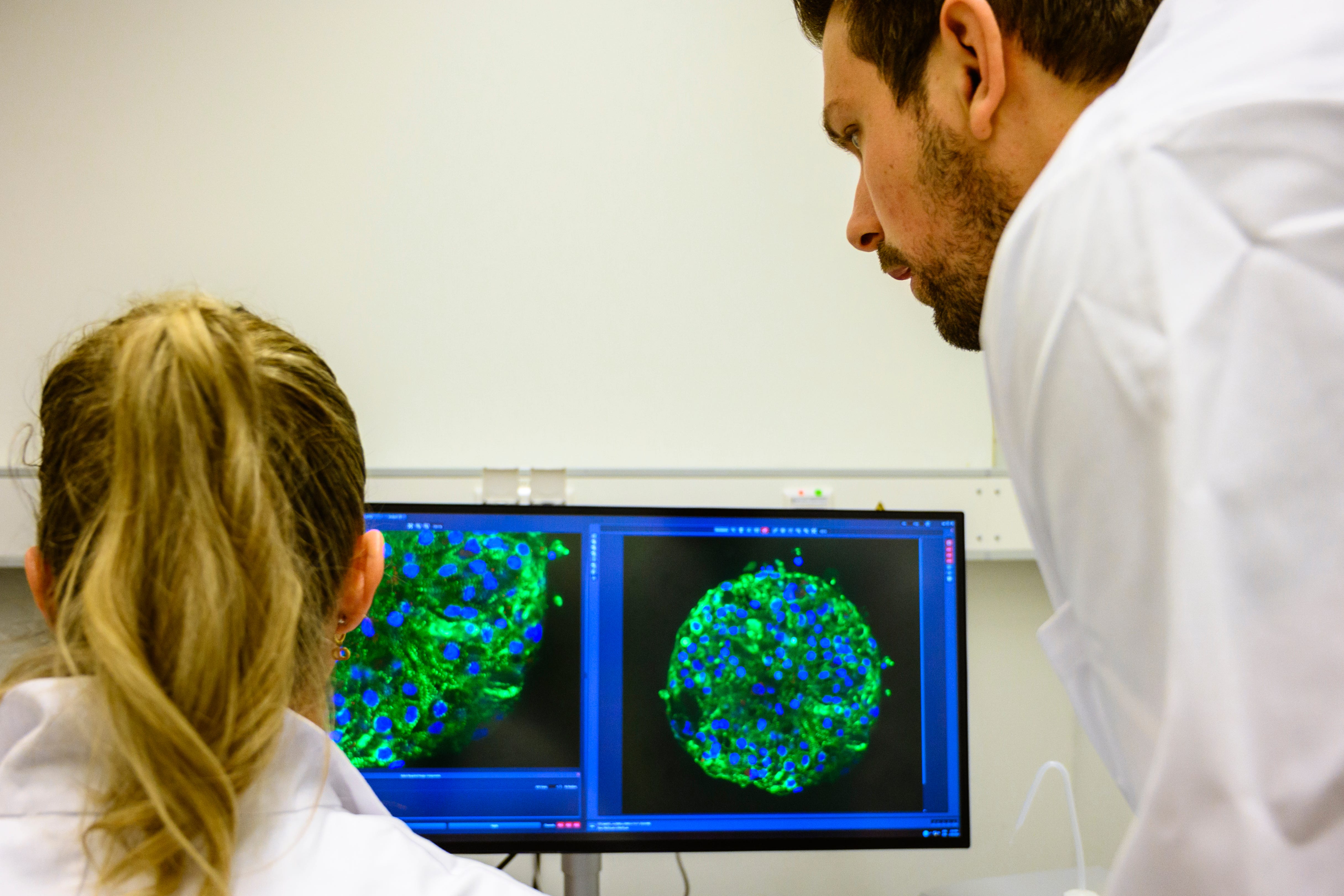 AI Labs and data science research - UMC Utrecht